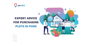 Expert Advice For Purchasing Plots In Pune